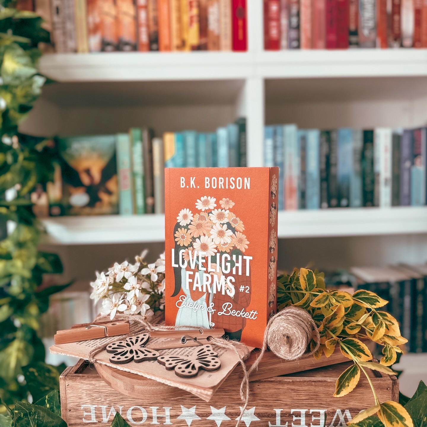 Lovelight Farms #2 | B.K. Borison - bookishy