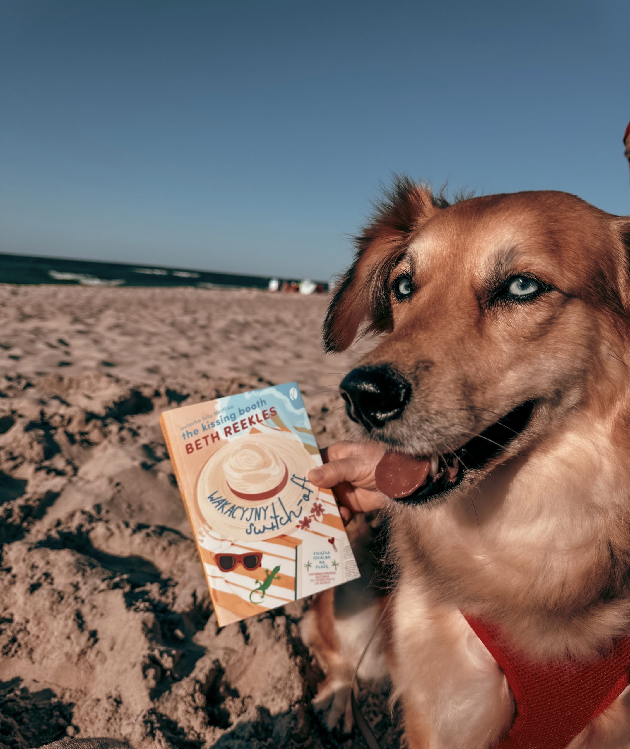 The Summer Switch-Off | Beth Reekles - bookishy